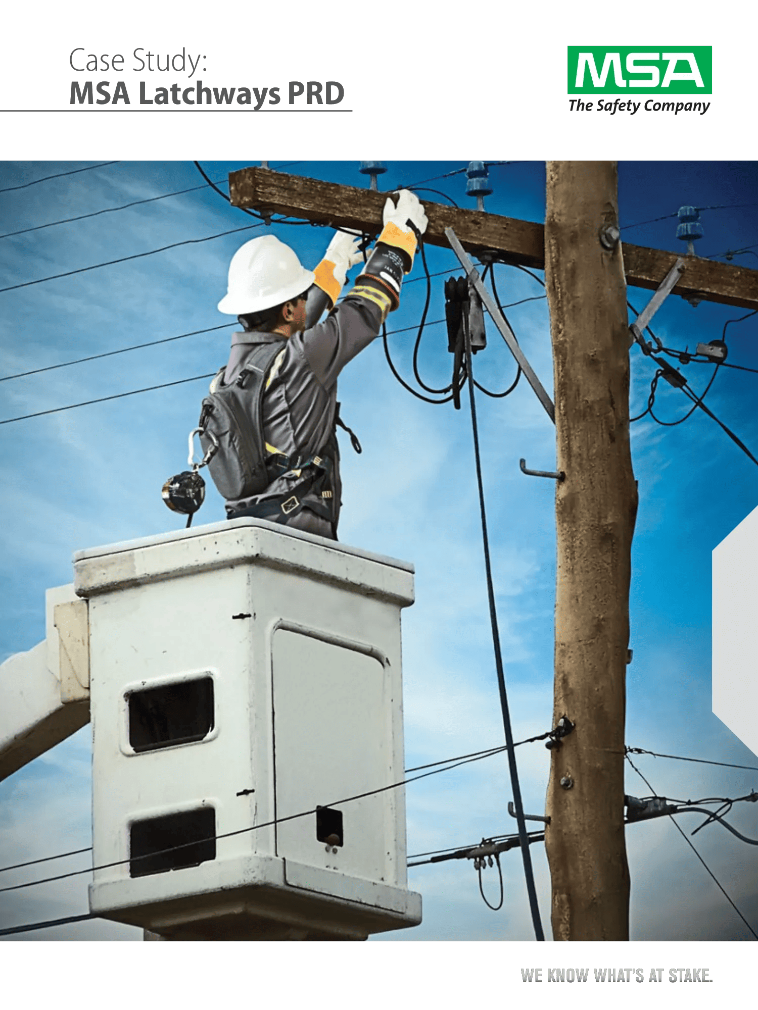 Latchways Engineered Systems | MSA Safety | United States